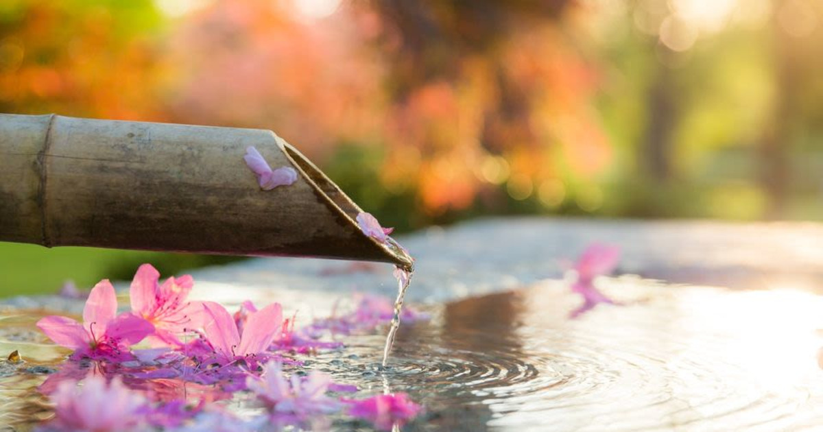 Sold Out: Sake and Sakura in St. Louis at Missouri Botanical