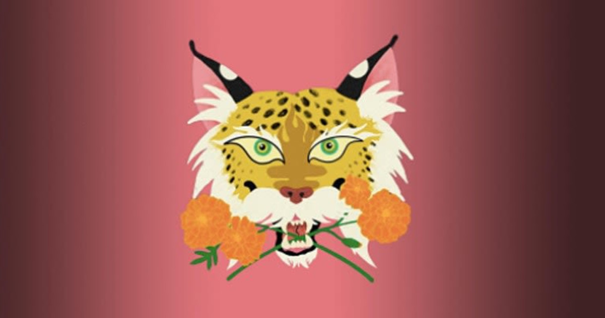 ground cover featuring Evan Weissman in Denver at The Skylark