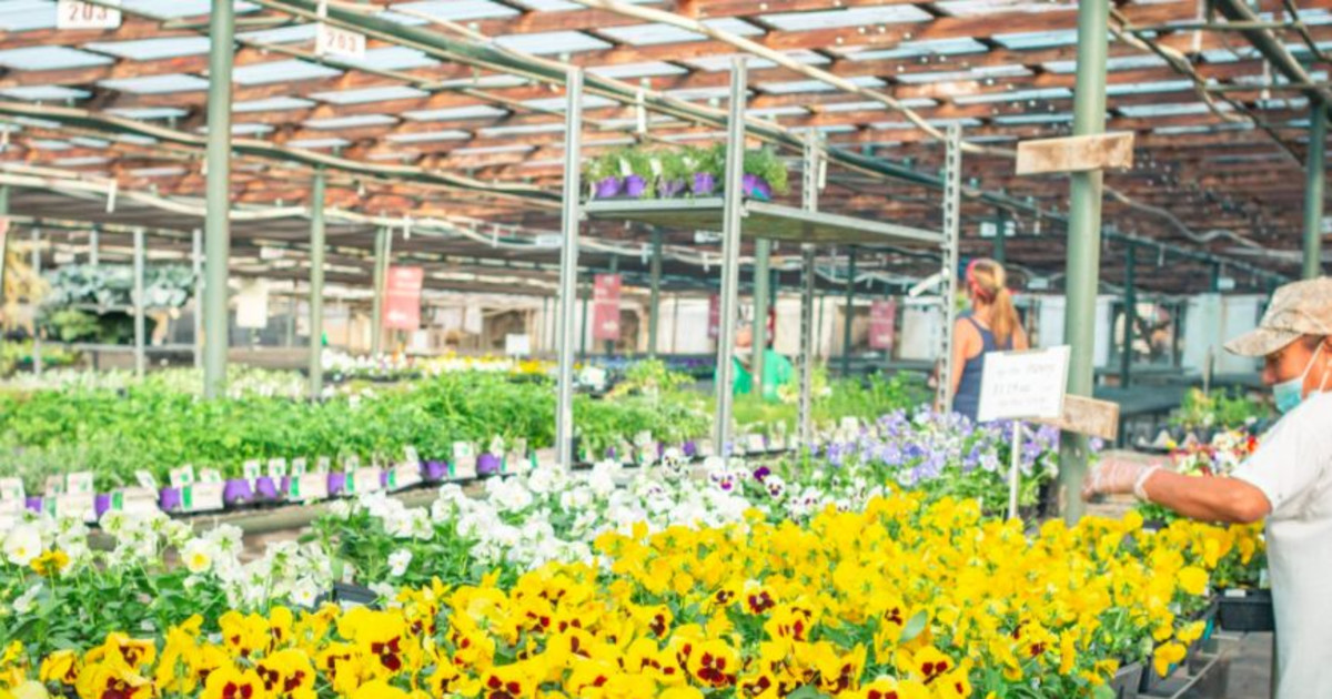 How to Plant Your Landscape in Nashville at Bates Nursery and