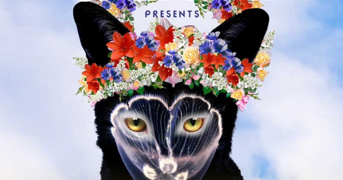 Galantis in Brooklyn at Brooklyn Mirage