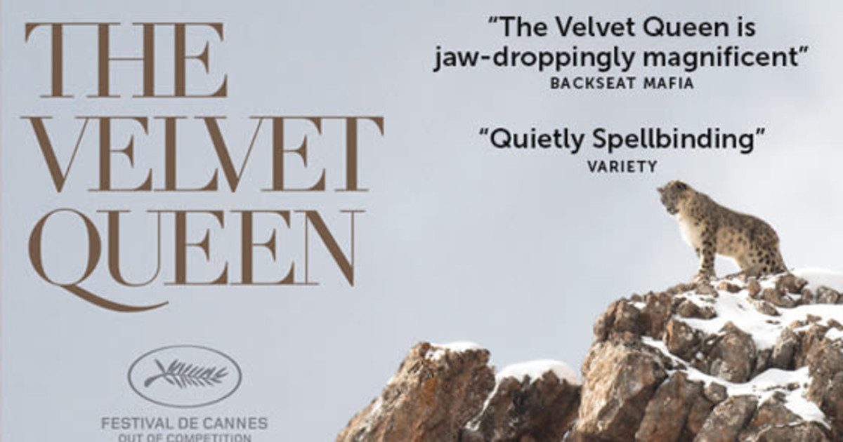 The Velvet Queen in Corte Madera at The Village at Corte Madera