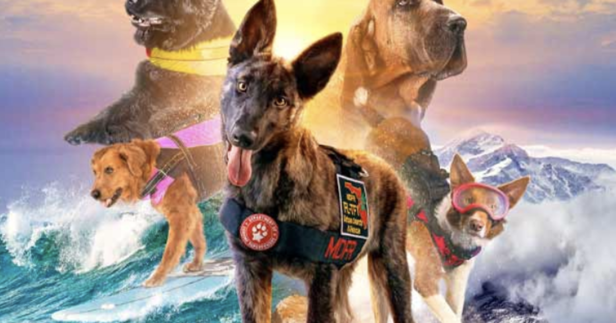 Films in the IMAX® Theatre: Superpower Dogs in Austin at Bullock