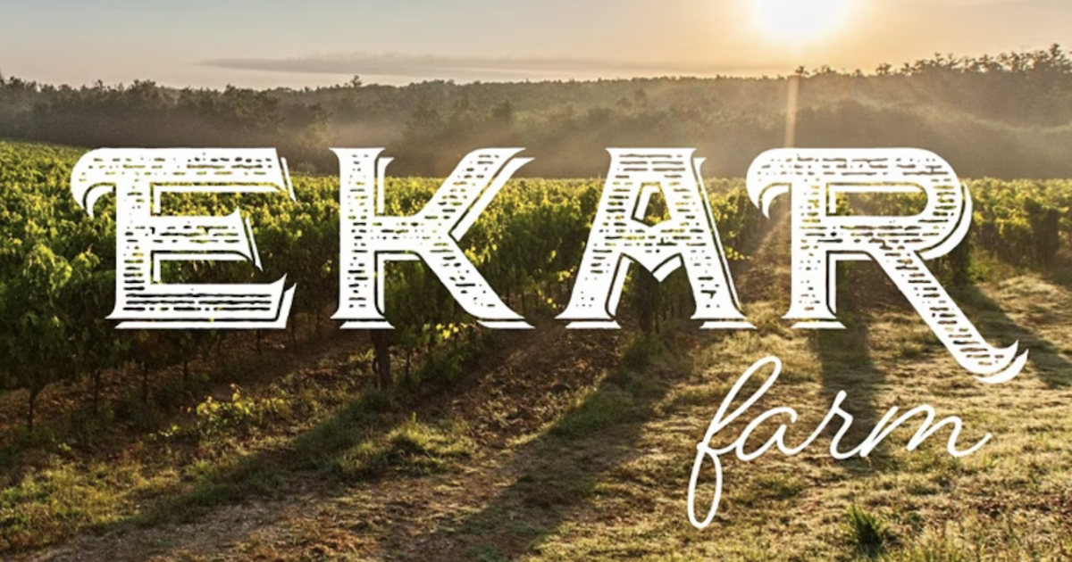 Family Fun Day at Ekar Farm in Denver at Ekar Farms