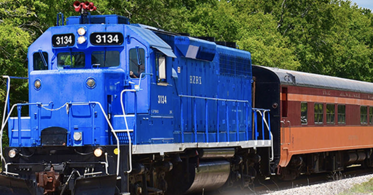 Teddy Bear Train in Cedar Park at Austin Steam Train - Cedar Park