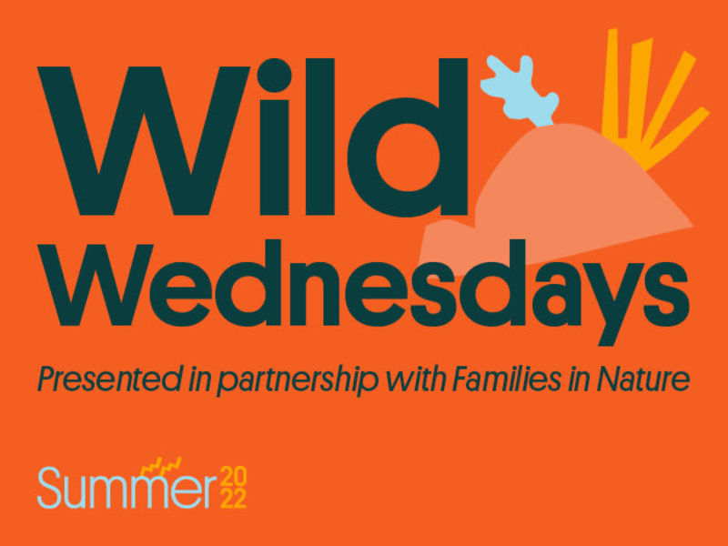 Wild Wednesdays: Botany in Austin at Waterloo Park