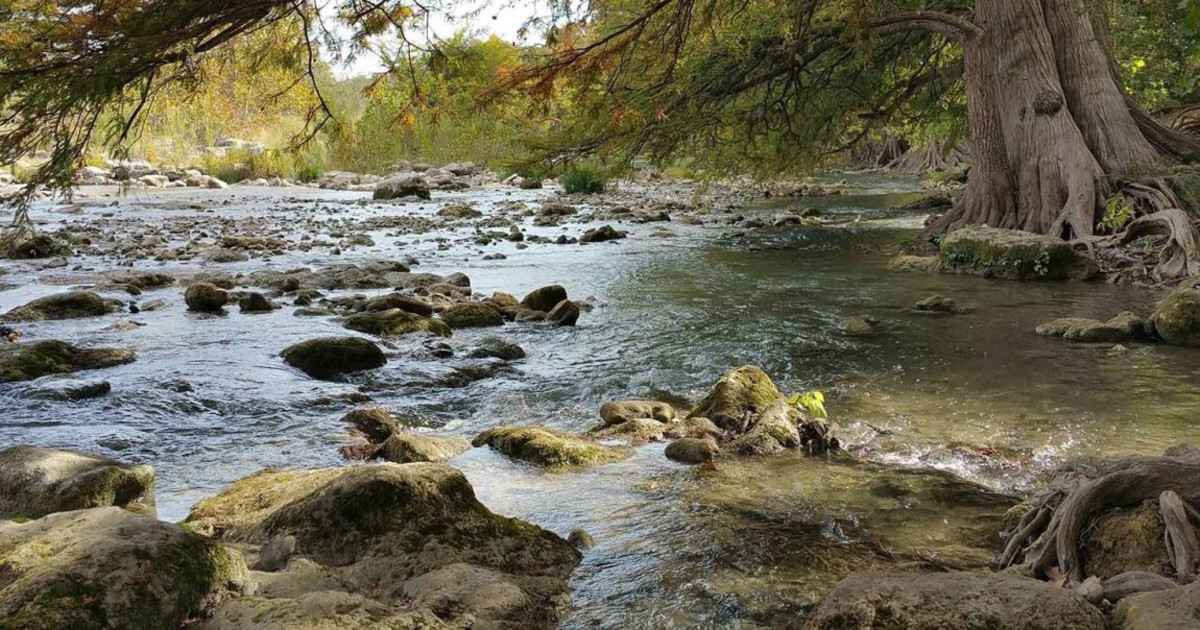 Take a Dip at Guadalupe River State Park in Spring Branch at