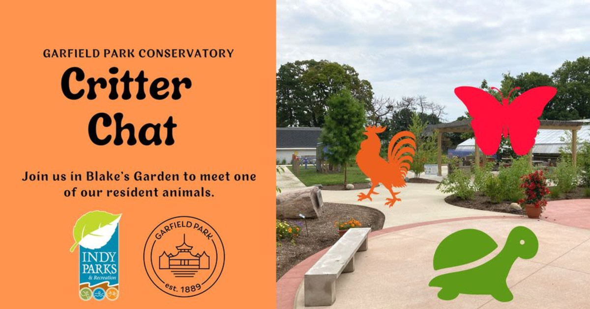 Critter Chat - Tortoise Edition in Indianapolis at Garfield Park