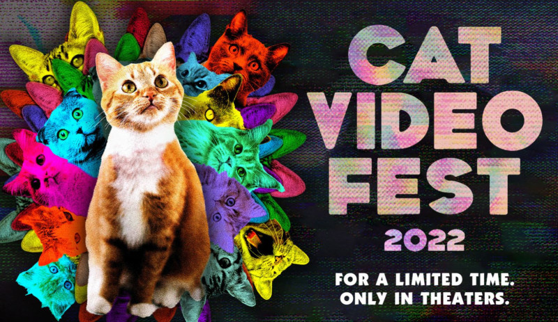 CatVideoFest 2022 in Nashville at Belcourt Theatre