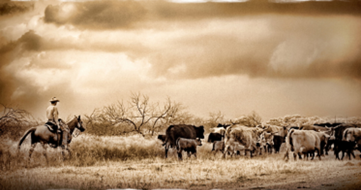 Second Annual Cowboy Festival and Cowboy Dinner! in Austin at