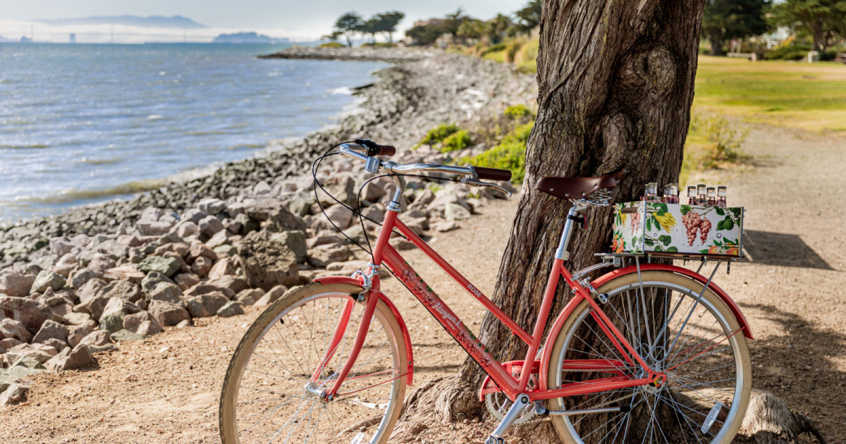 Sip & Cycle at the Hangar 1 Distillery in Alameda at Hangar 1