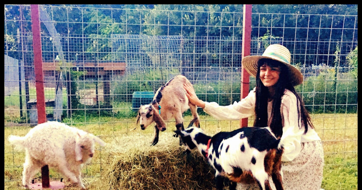 Berkeley Farm Open Hours in Austin at Berkeley Farm