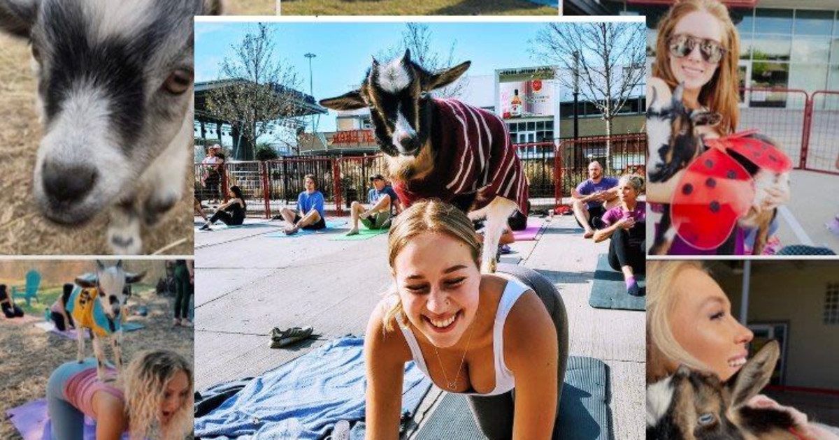 Goat Yoga | Deep Ellum Texas (Redesign)