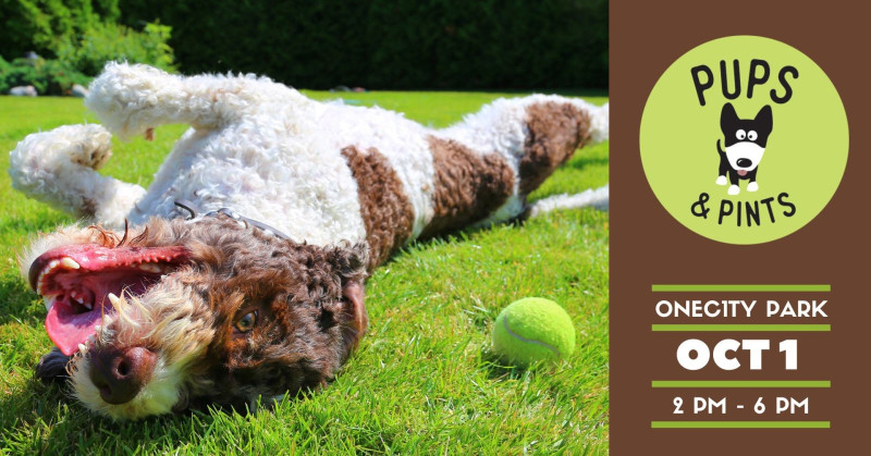 Pups & Pints in Nashville at oneC1TY