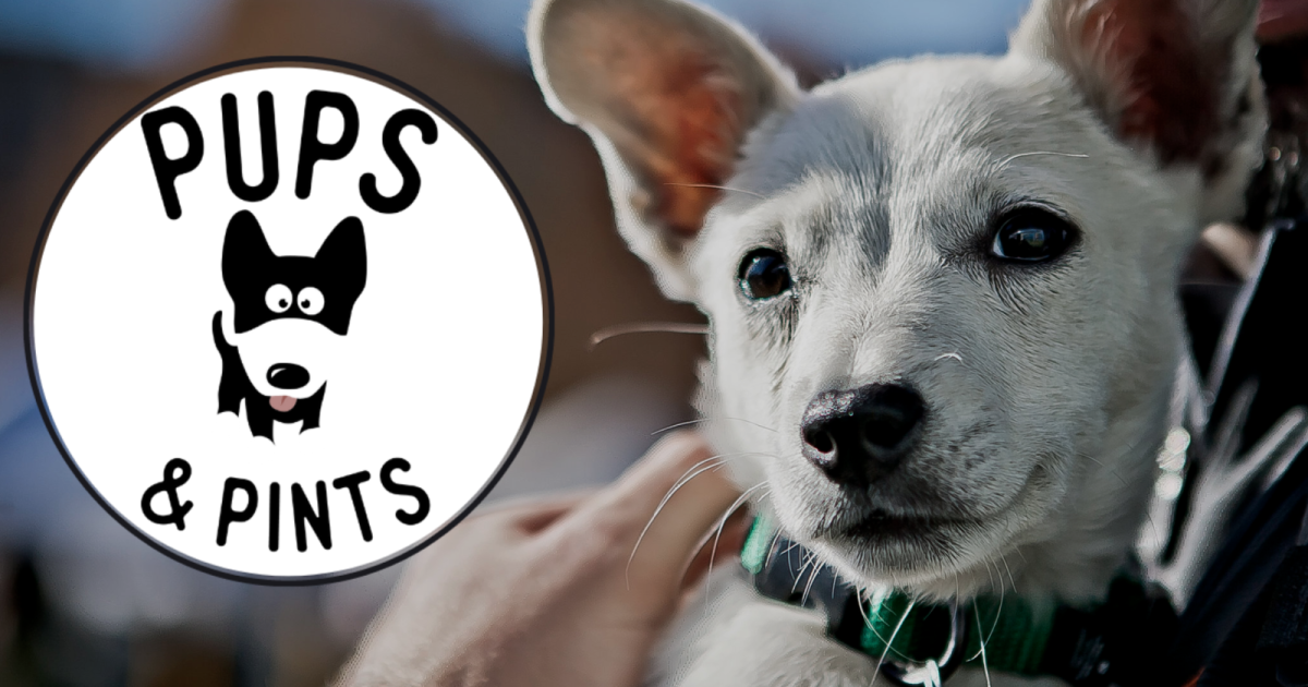 Pups & Pints in Nashville at oneC1TY