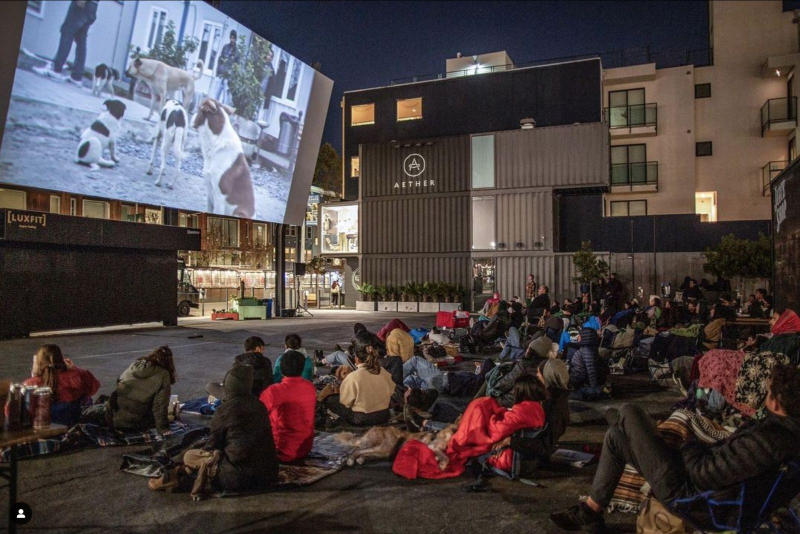 PROXY Fall Film Festival 2022 in San Francisco at PROXY SF