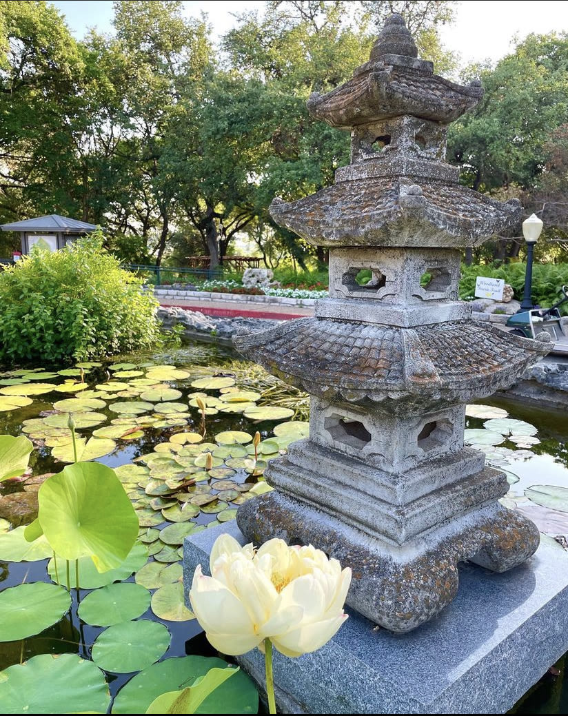 The Most Instagrammable Places in Austin