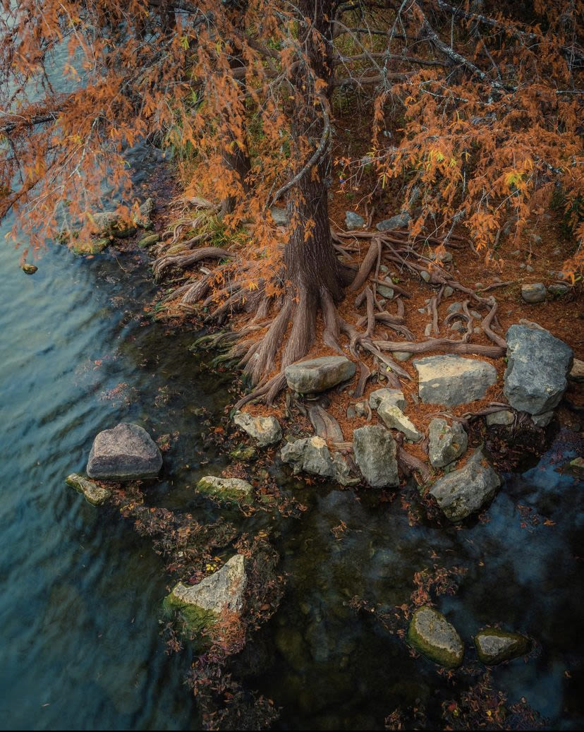 The Most Insta-Worthy Places in Austin