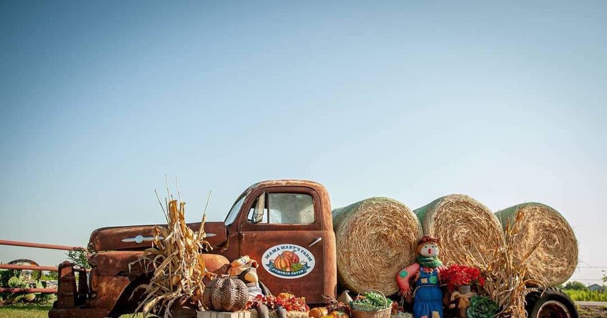 Mama Mary's Farm and Pumpkin patch in Creedmore at Mama Mary's