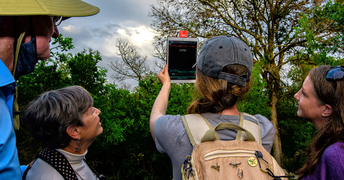 Fall Bat Guided Walk in Austin at Lady Bird Johnson Wildflower