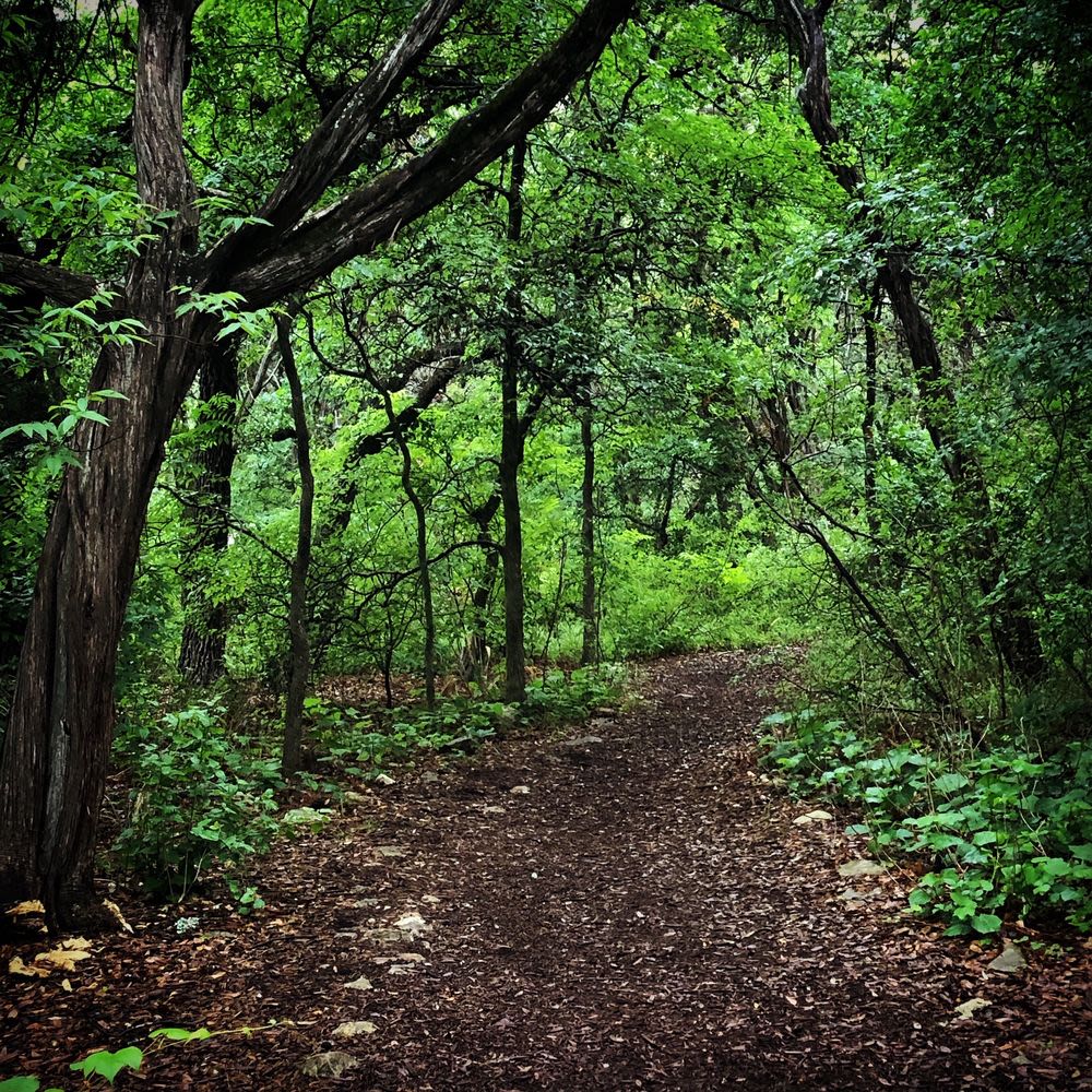 The Best Places to Cry in Austin