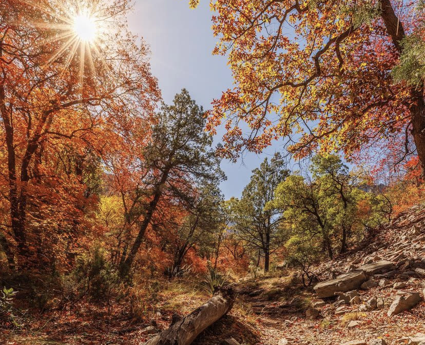 The Most Beautiful Places to See This Fall