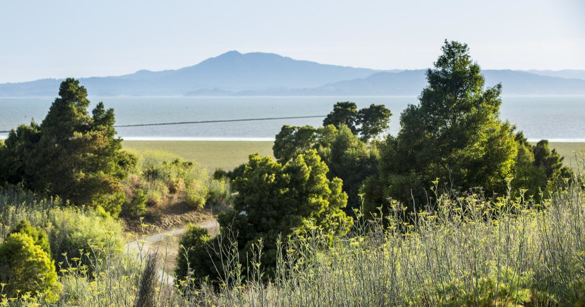 EXPLORE Mare Island in Vallejo at Mare Island Historic Core