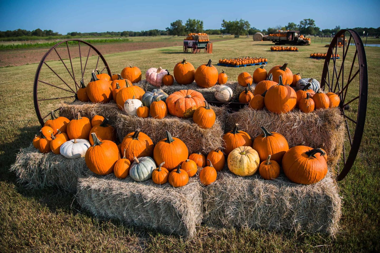 How to Fake Fall in Austin