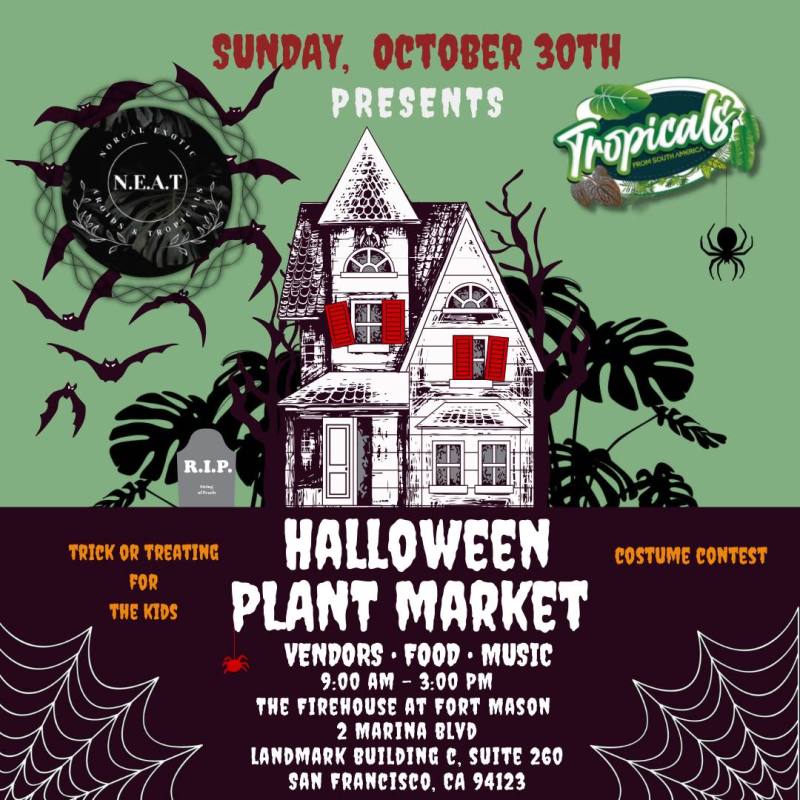 NorCal Exotic Aroids and Tropicals Halloween Plant Pop-up in San