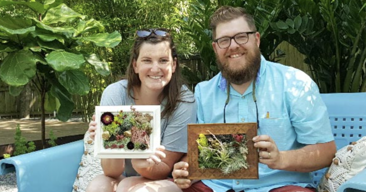 Make a Mini Living Wall Class in Austin at Articulture Designs