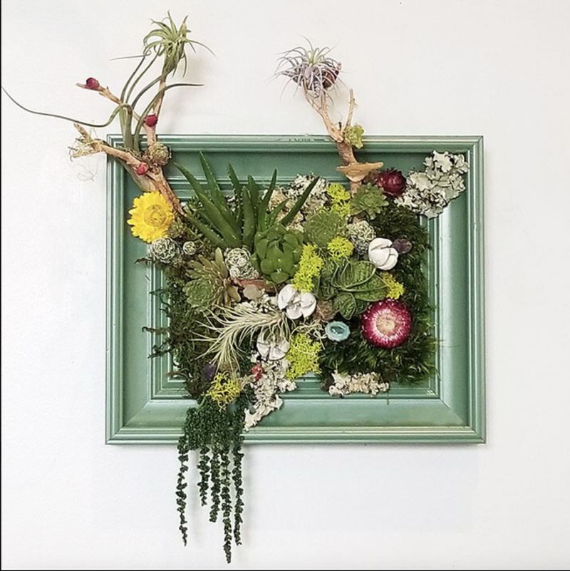 Make a Mini Living Wall Class in Austin at Articulture Designs