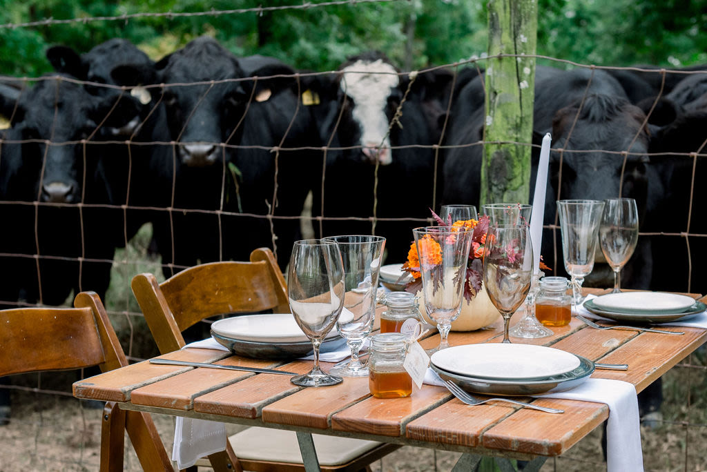 Fall Farm Dinner Friday in Franklin at Chapel Road Farms