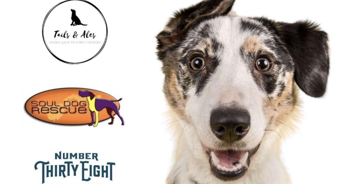 Tails & Ales - Dog Adoption and Fundraiser in Denver at Number