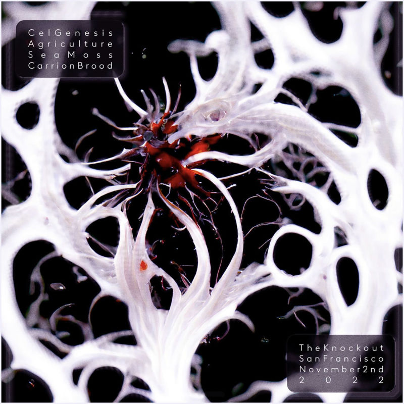 Genesis Moss Instagram