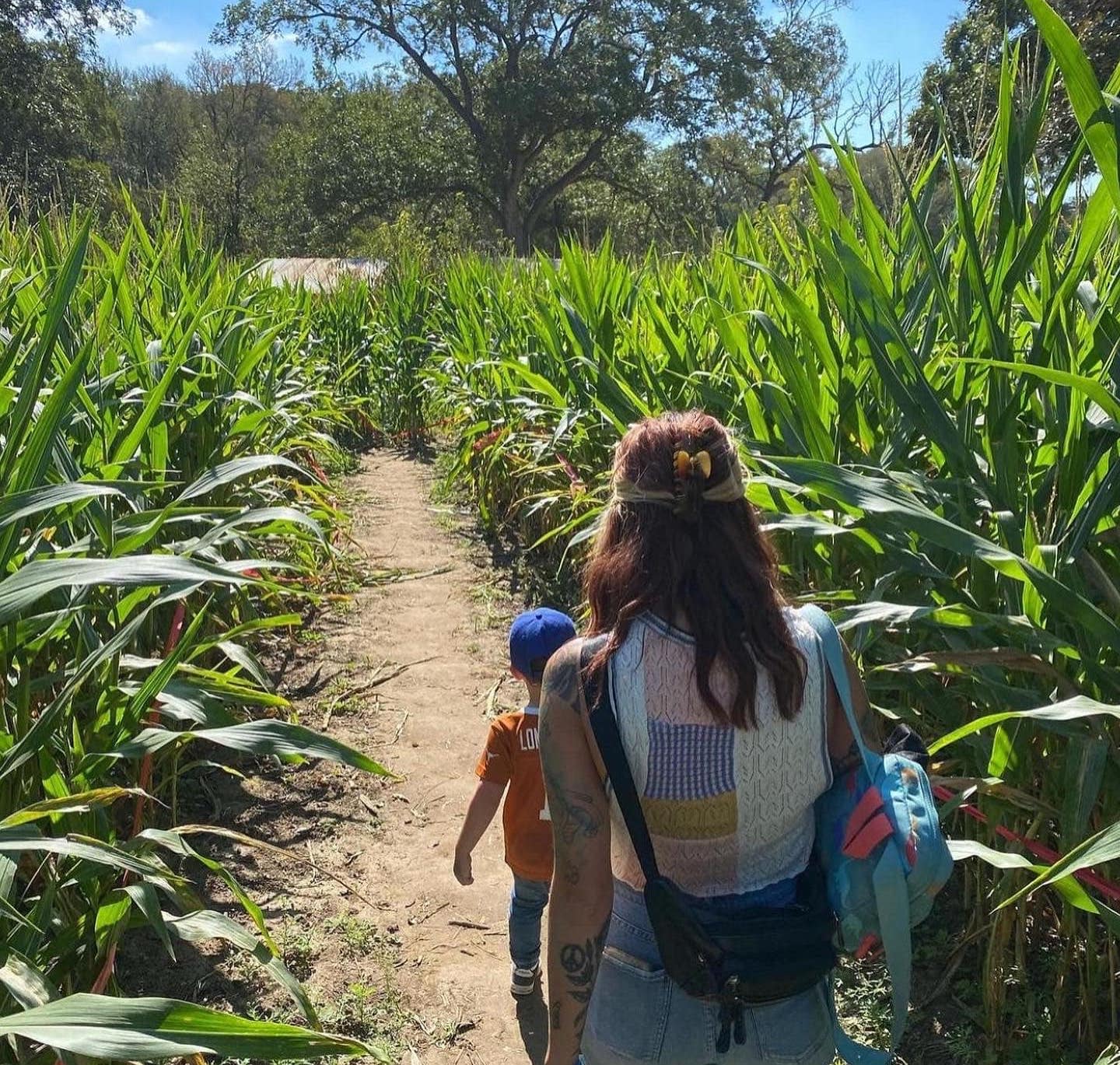 Top Corn Mazes Near Austin