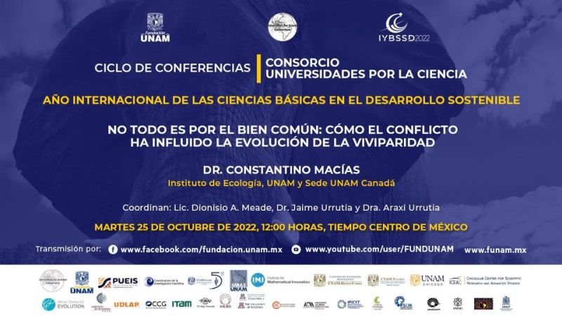 No Todo Es Por El Bien ComÚn: CÓmo El Conflicto Ha Influido La