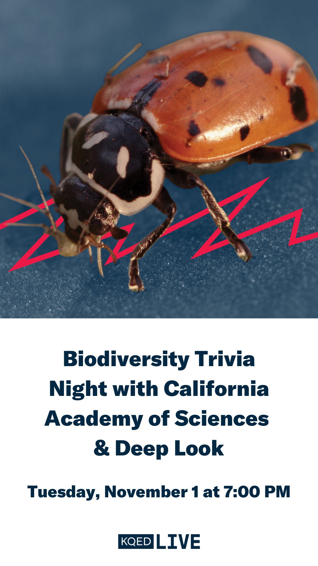 Biodiversity Trivia Night with California Academy of Sciences