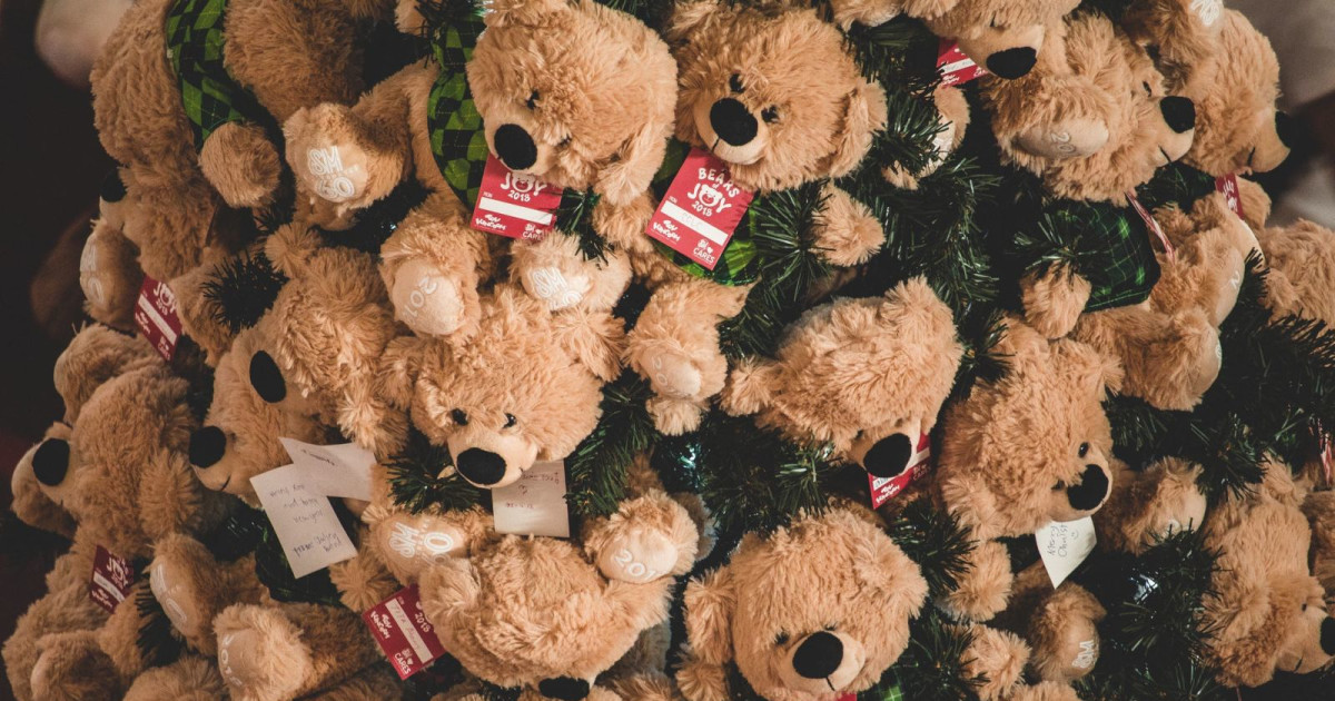 SKS2019 June Teddy Bear Surgery in Austin at Austin Humane