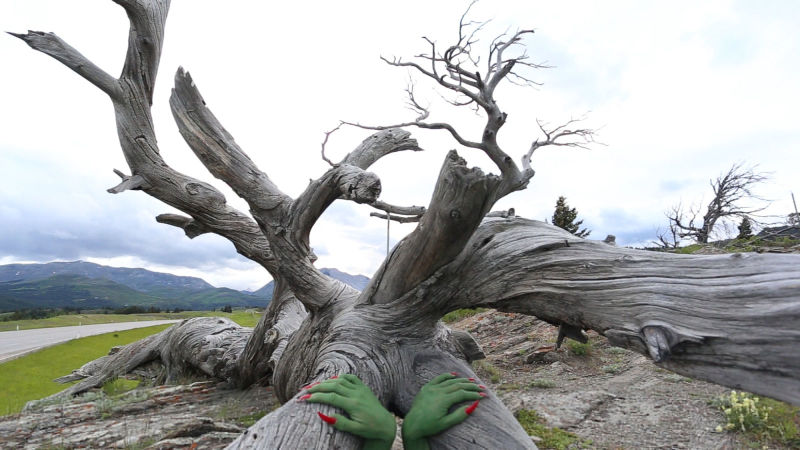 Art Forums Artist Talk | Alana Bartol in Vancouver at Online
