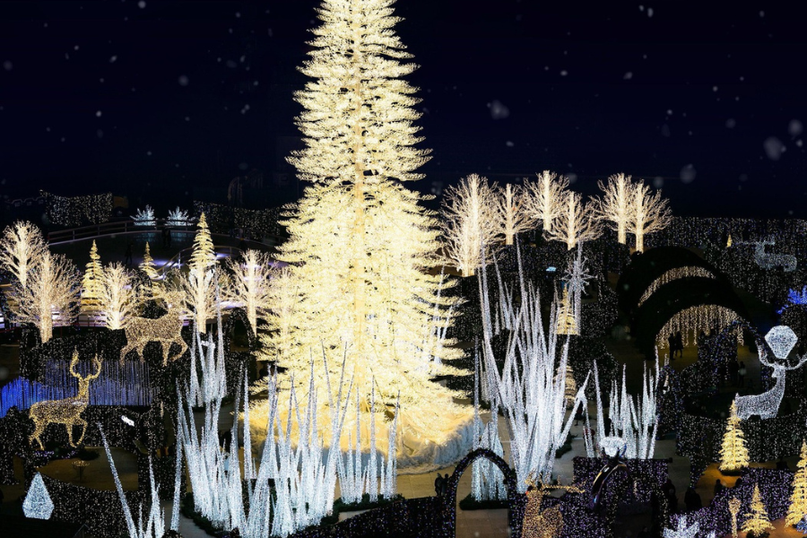 It's Lit: Your Guide to Holiday Lights