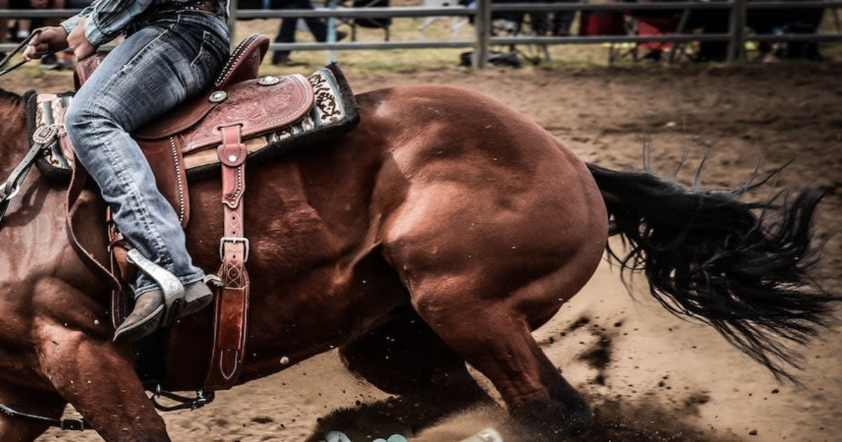 MLK Jr. African-American Heritage Rodeo in Denver at National