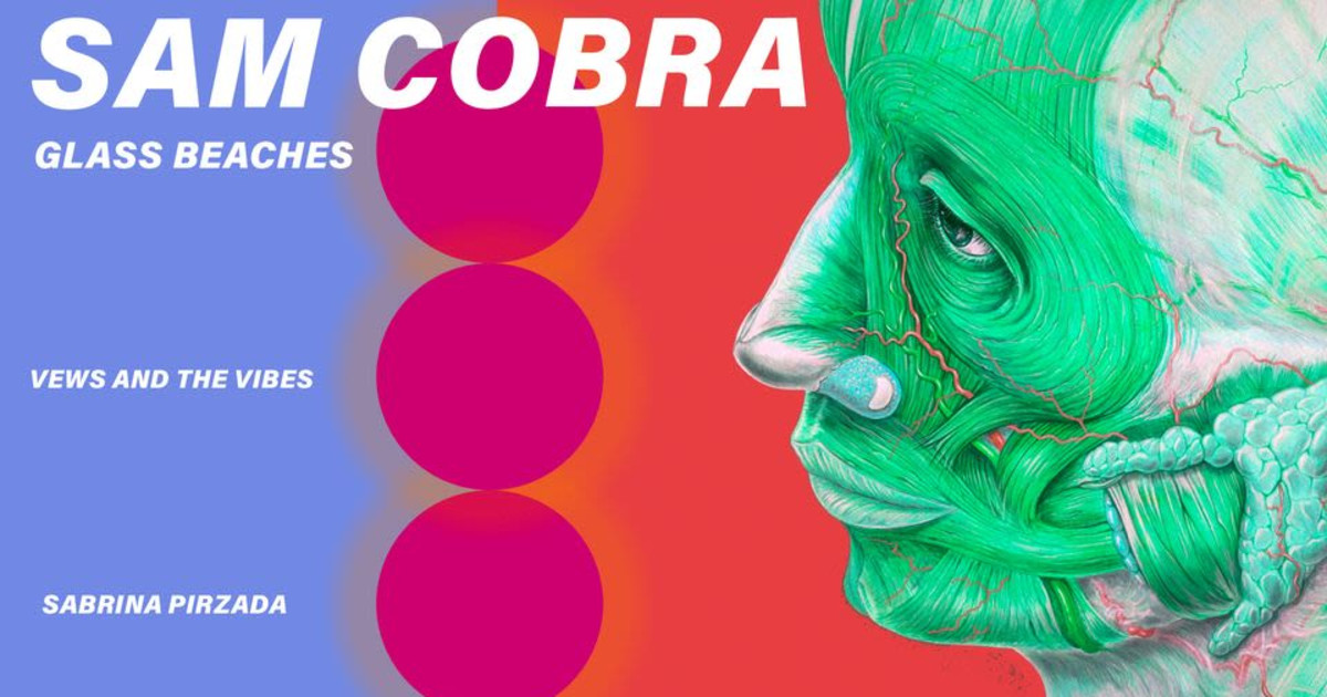 Sam Cobra, Glass Beaches, Vews and The Vibes, Sabrina Pirzada in