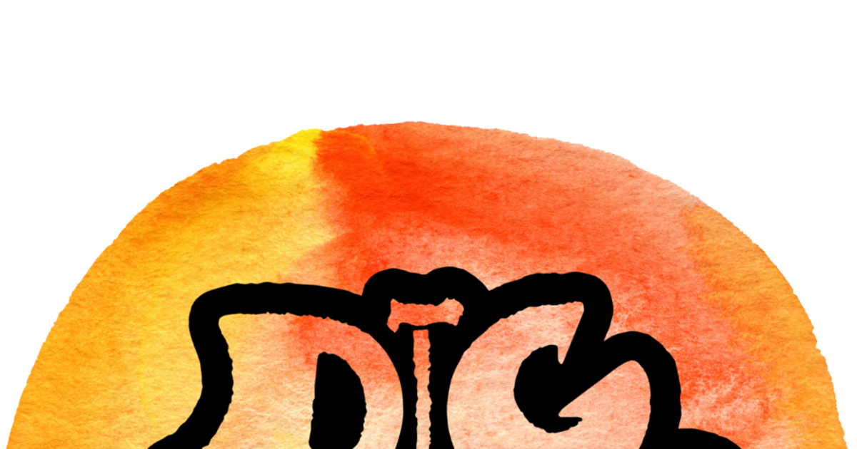 Dig Deep in Denver at CLOSED: Enigma Bazaar