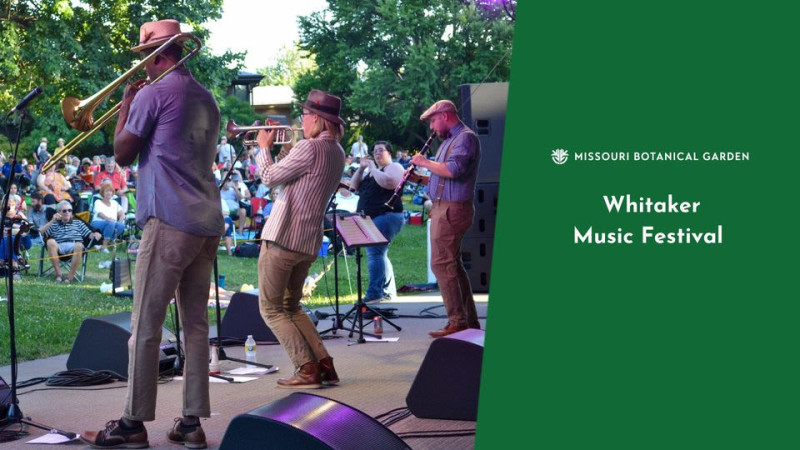 Whitaker Music Festival: The Lady J Hutson Show in St. Louis at