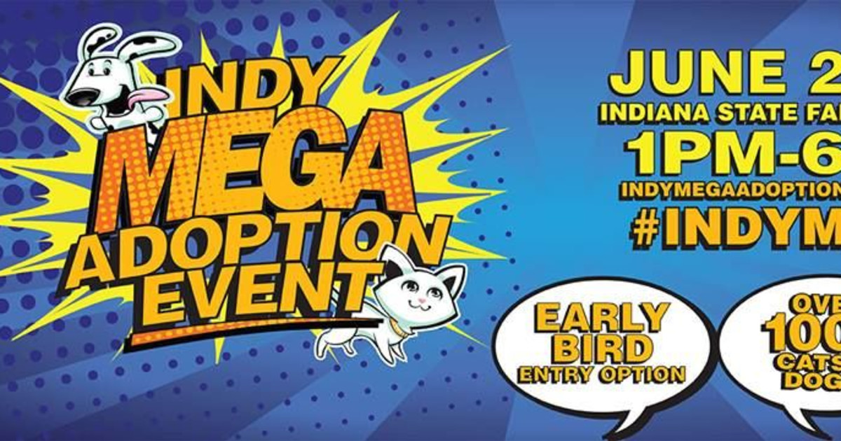June 2019 Indy Mega Adoption Event! in Indianapolis at