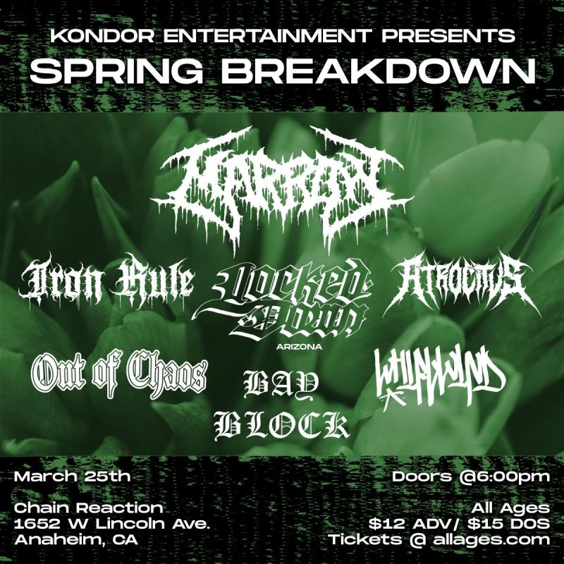 Spring Breakdown Poster