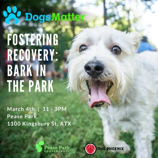 Bark In The Park Flyer