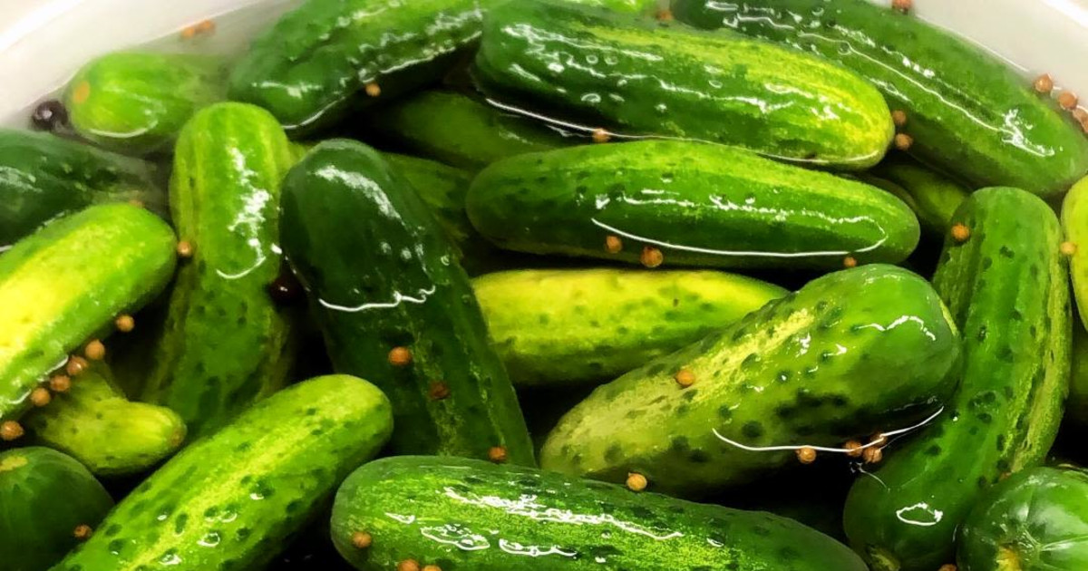 Chicago Pickle Fest-Live Band & Everything Pickle: Food, Drinks