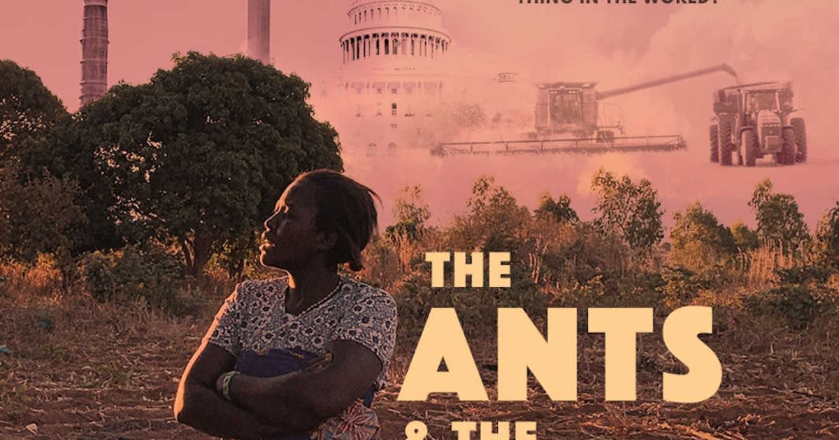 The Ants & The Grasshopper in San Francisco at Alamo Drafthouse