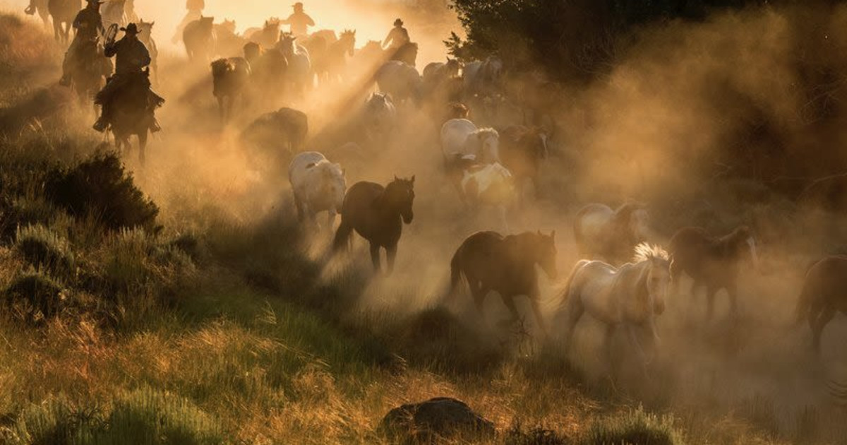 National Geographic Photographer Jay Dickman in Denver at Santa