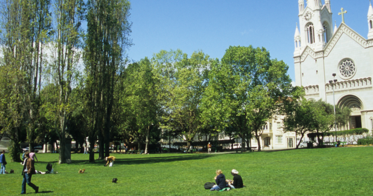 Heart Your Parks in San Francisco at Washington Square Park